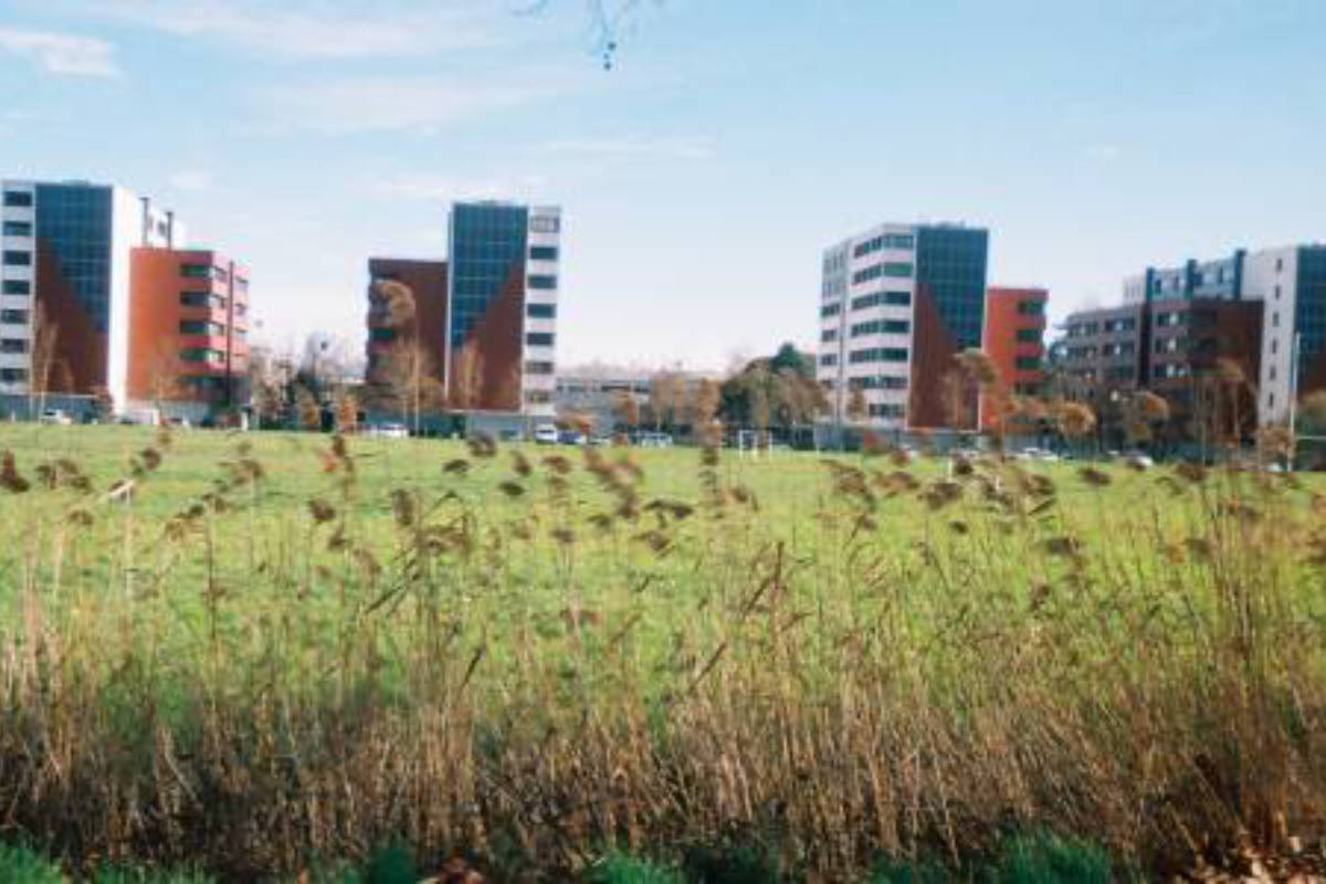 Avant, la forêt - Toiles Cirées